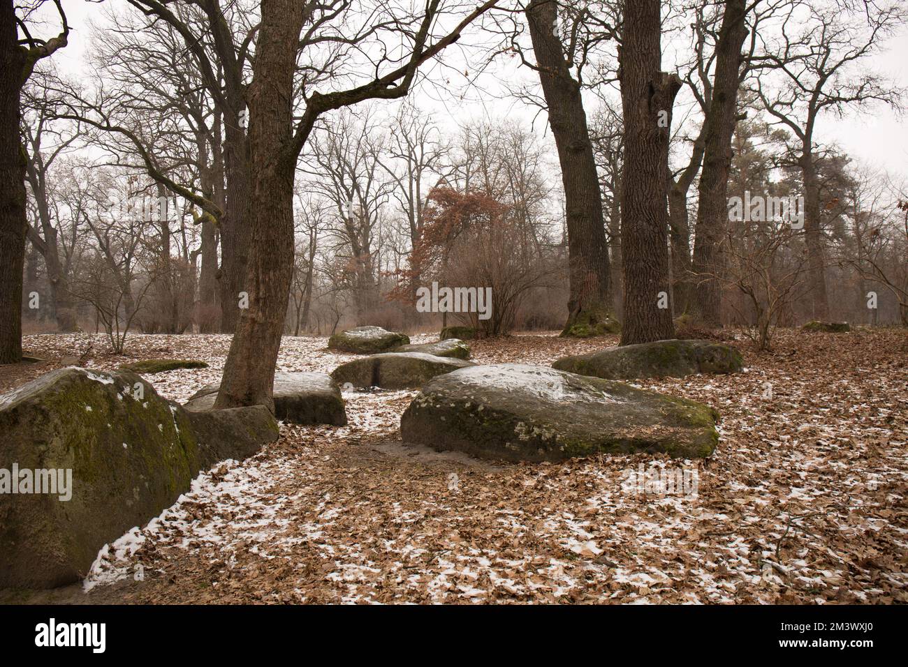 Beautiful winter landscape with large boulders in the park Stock Photo ...
