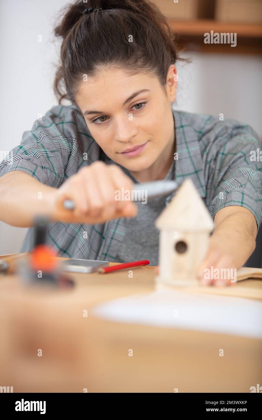 carpenter building a wooden nesting box Stock Photo - Alamy