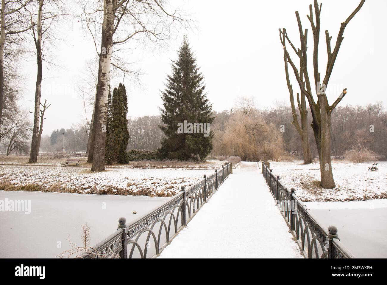 Decorative bridge over a reservoir in a winter park Stock Photo - Alamy