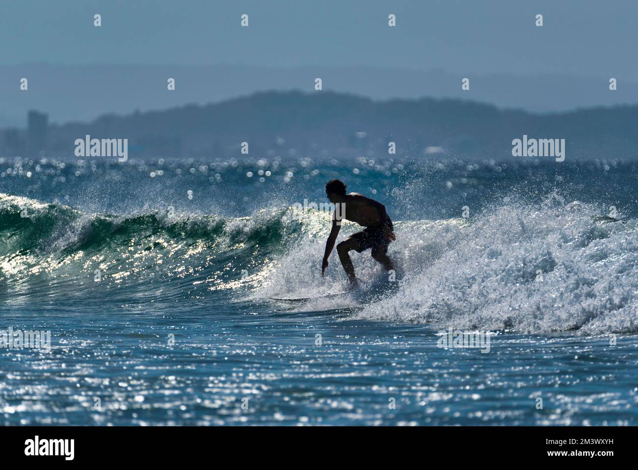 Human pro hi-res stock photography and images - Alamy