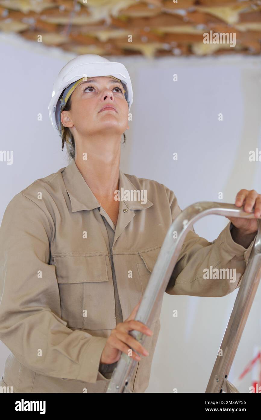 beautiful brunette woman builder with ladder Stock Photo - Alamy