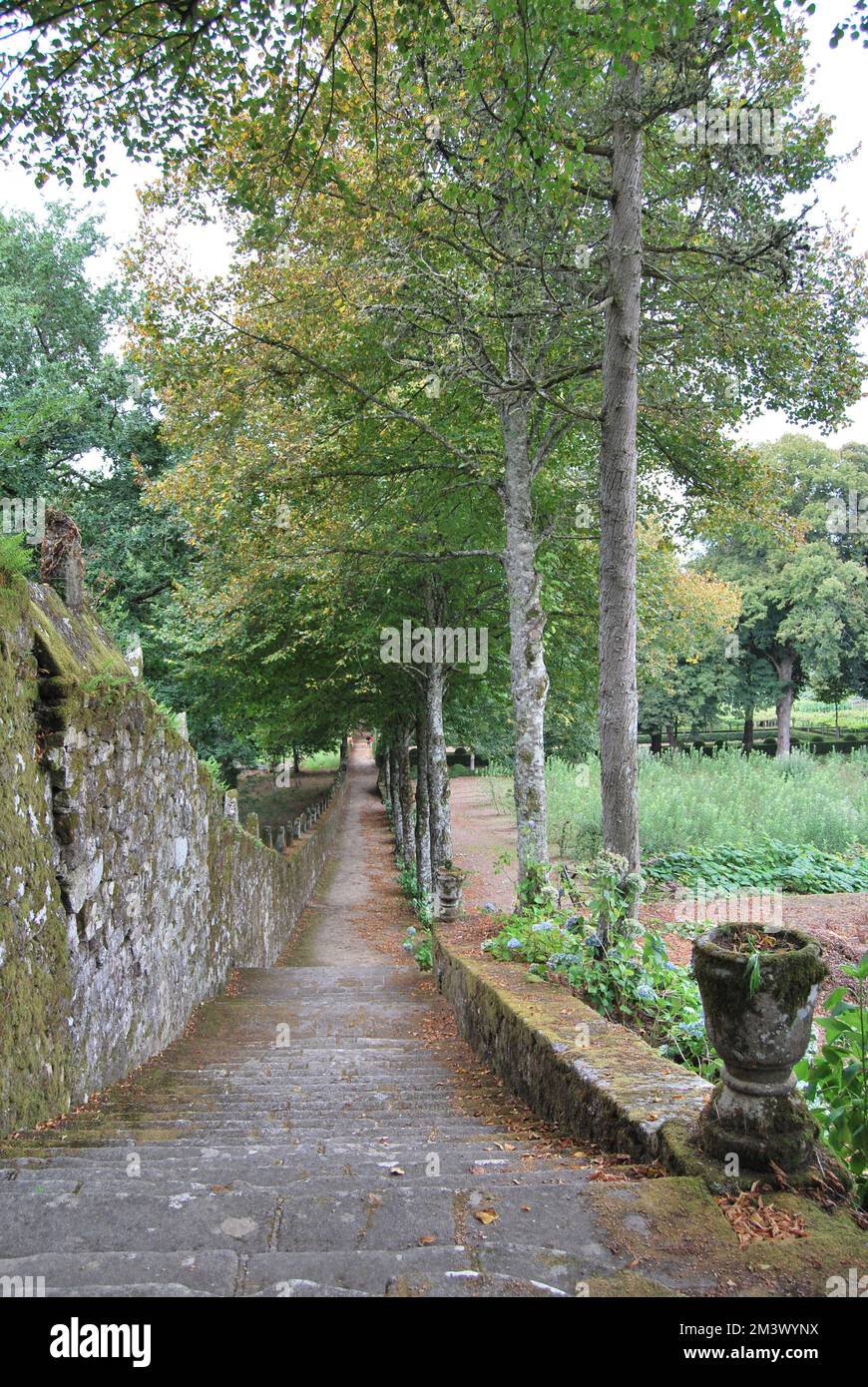 A Beautiful view of green historical garden Pazo de Oca with plants and ...