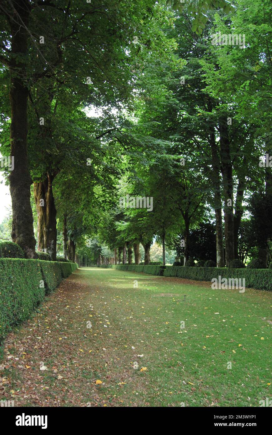 A Beautiful view of green historical garden Pazo de Oca with plants and ...