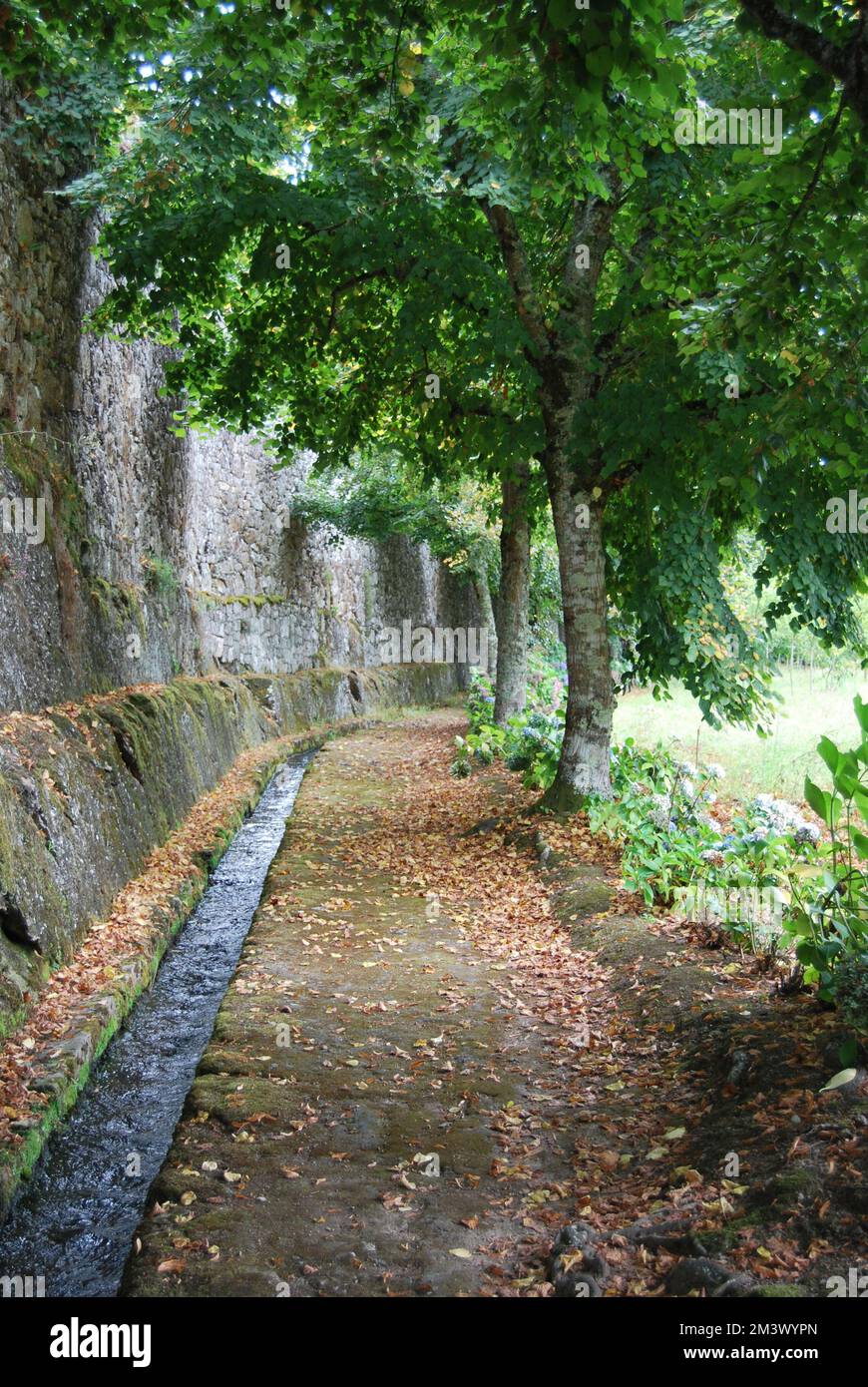 A Beautiful view of green historical garden Pazo de Oca with plants and ...