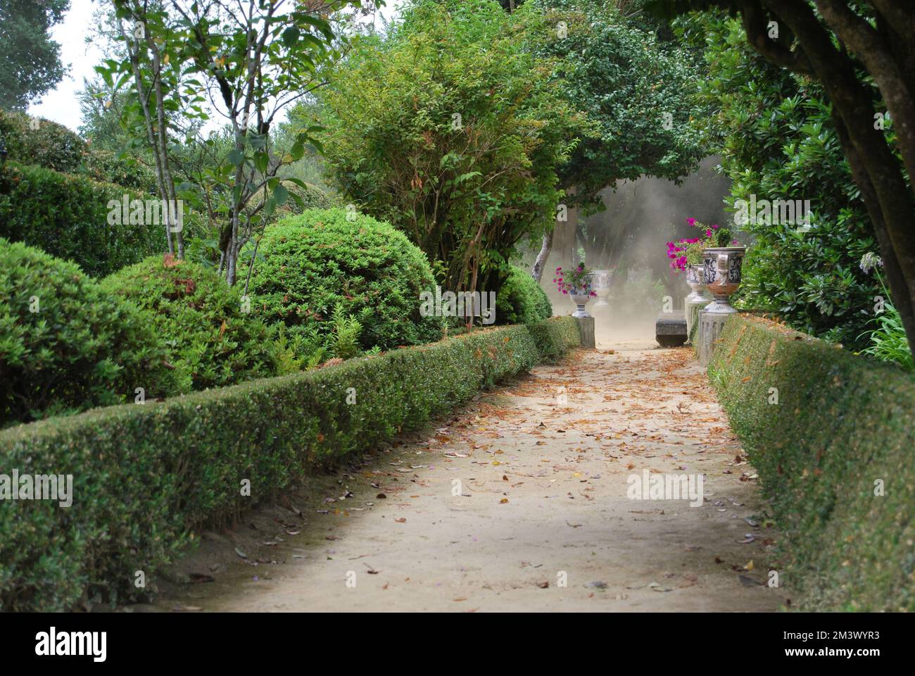 A Beautiful view of green historical garden Pazo de Oca with plants and ...