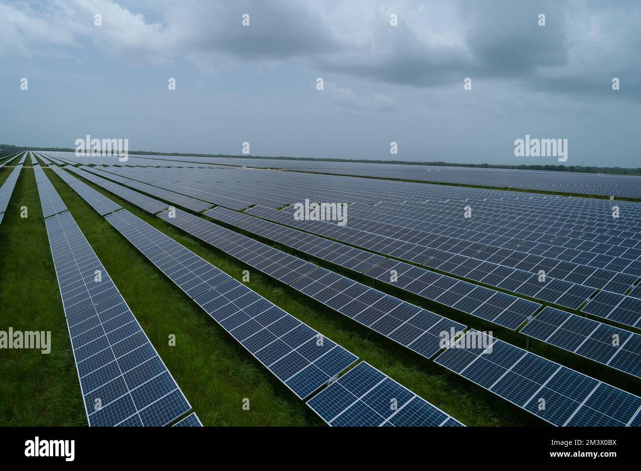 Many modern solar panels on grass fields with sunset bright sky on the ...