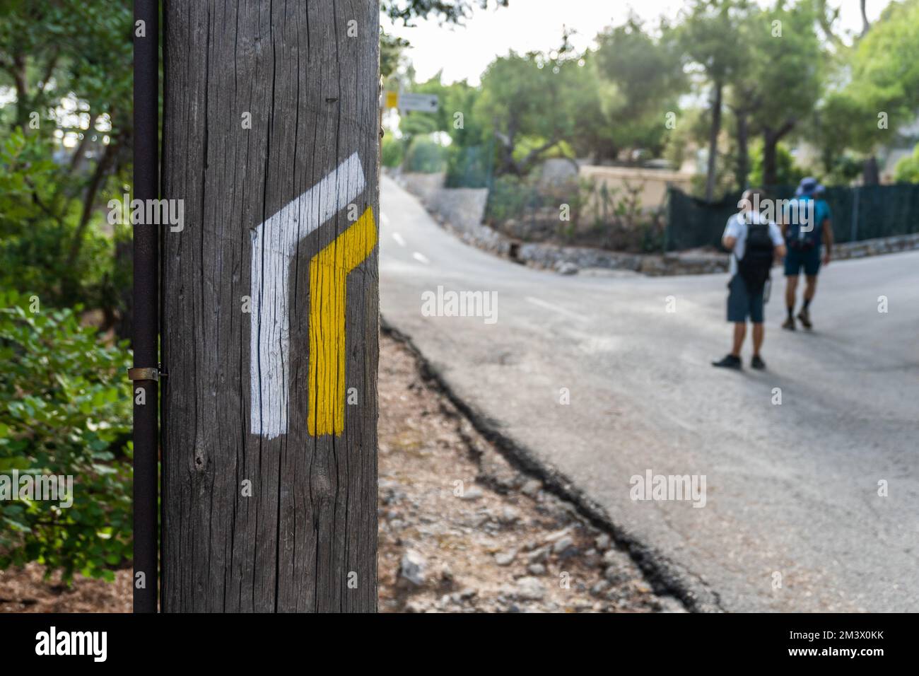 A wooden post with lines of yellow and white paint, indicative PR signs ...
