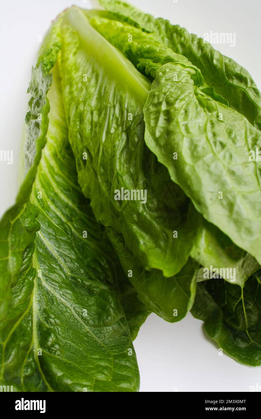 Romain Lettuce isolated on a white background. Healthy eating vegetable ...