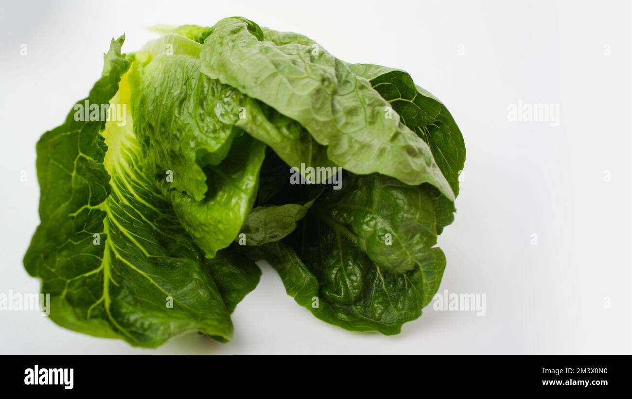 Romain Lettuce isolated on a white background. Healthy eating vegetable ...