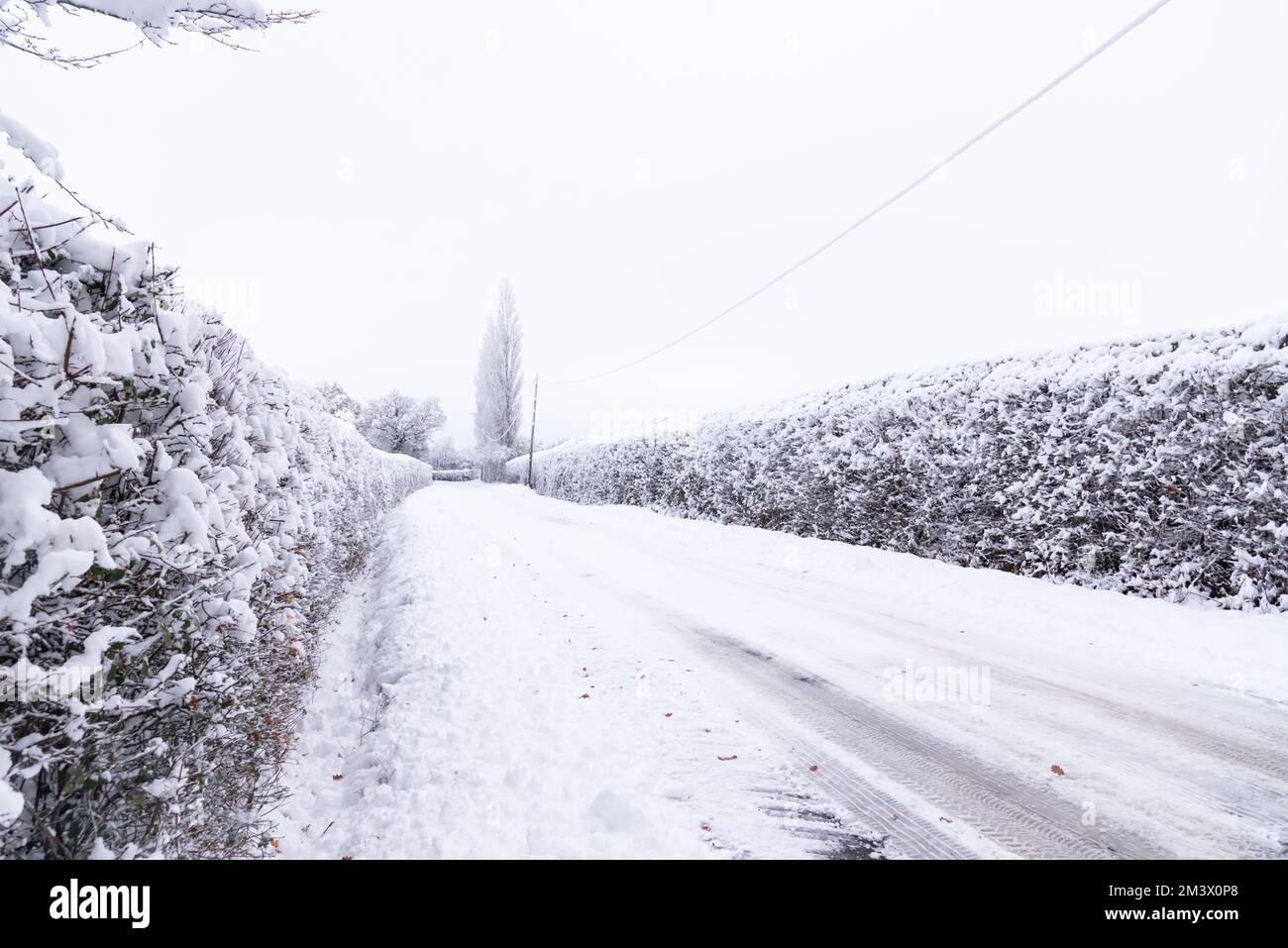 Snow covered country road Stock Photo - Alamy Snow covered country road Stock Photo - Alamy