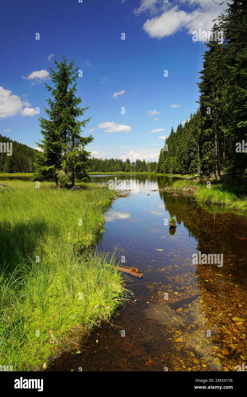 Beautiful lake Kleiner Arbersee with its swimming islands in the ...