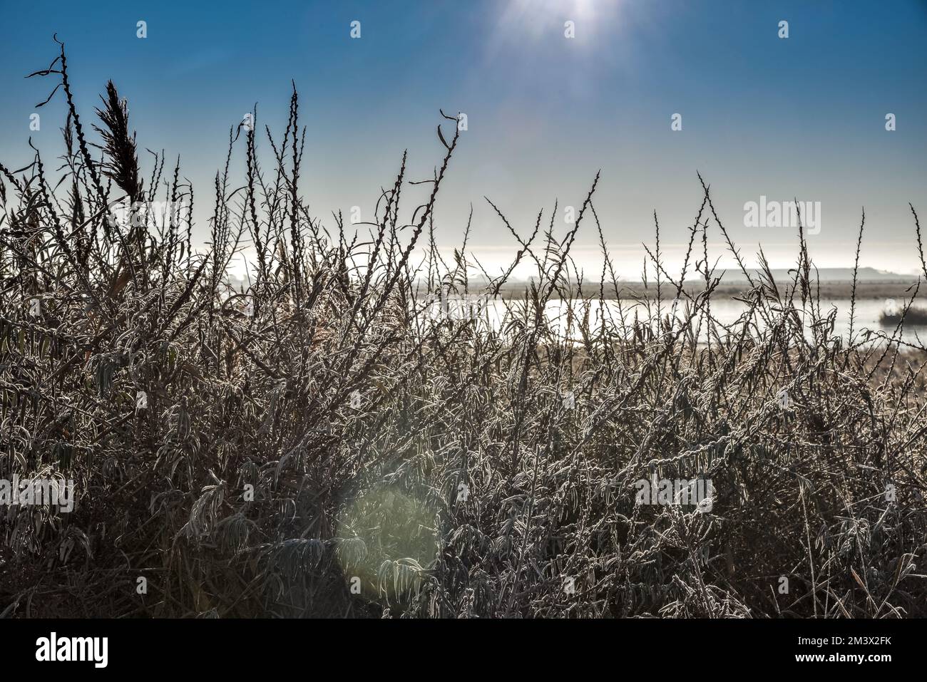 Dutch winter landscape hi-res stock photography and images - Alamy