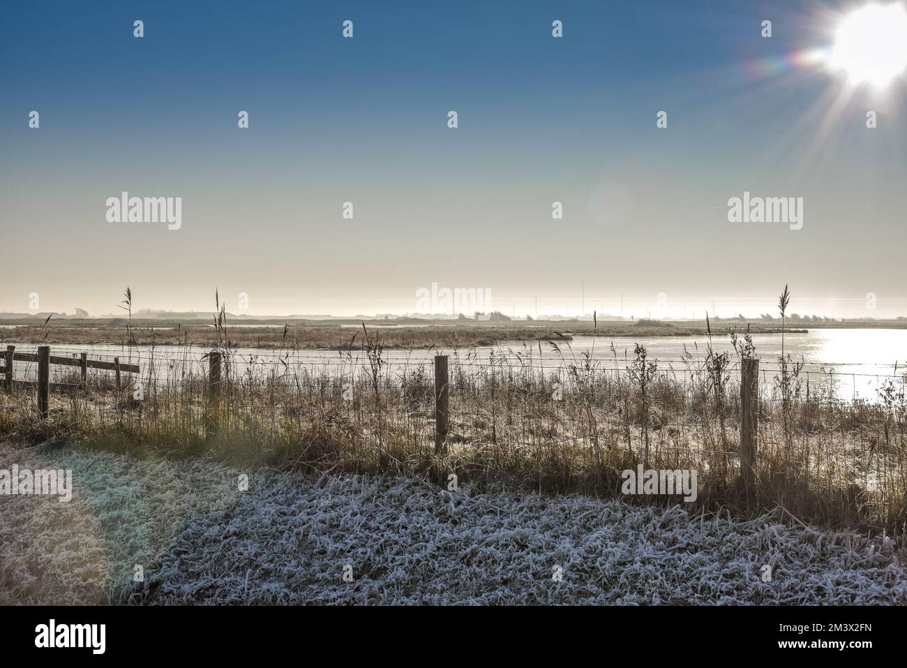 Den Helder, Netherlands. December 2022. Dutch winter landscape with ...