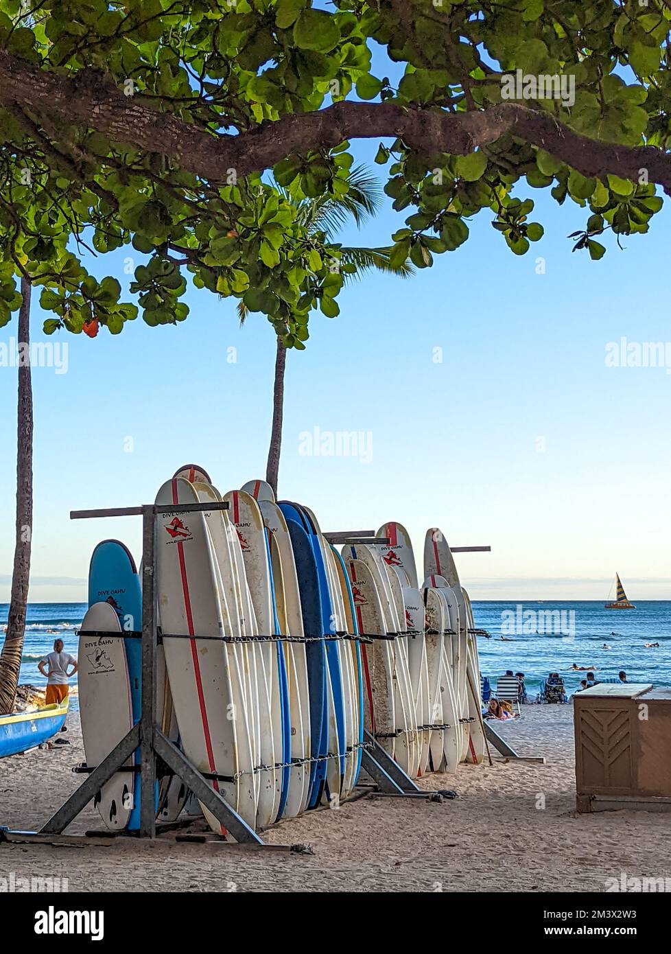 A vertical shot of the surfboard rental shop under the tree on Waikiki ...