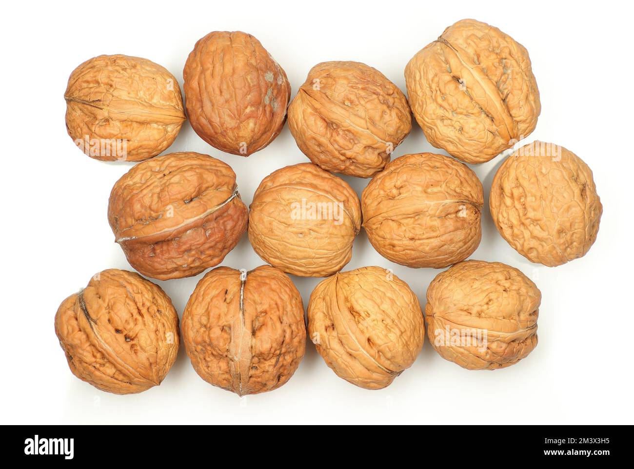 ripe walnuts side by side against a white background Stock Photo - Alamy