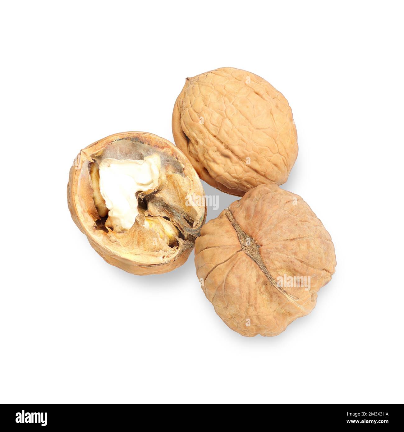 two walnuts from above on a white background Stock Photo - Alamy