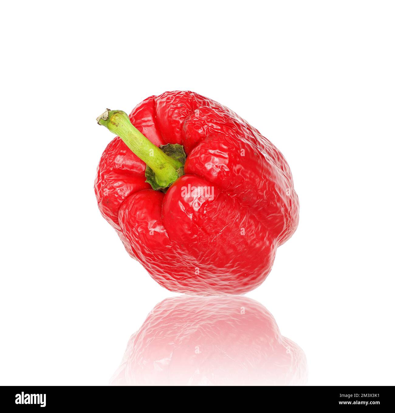 red wilted pepper on a white background Stock Photo - Alamy
