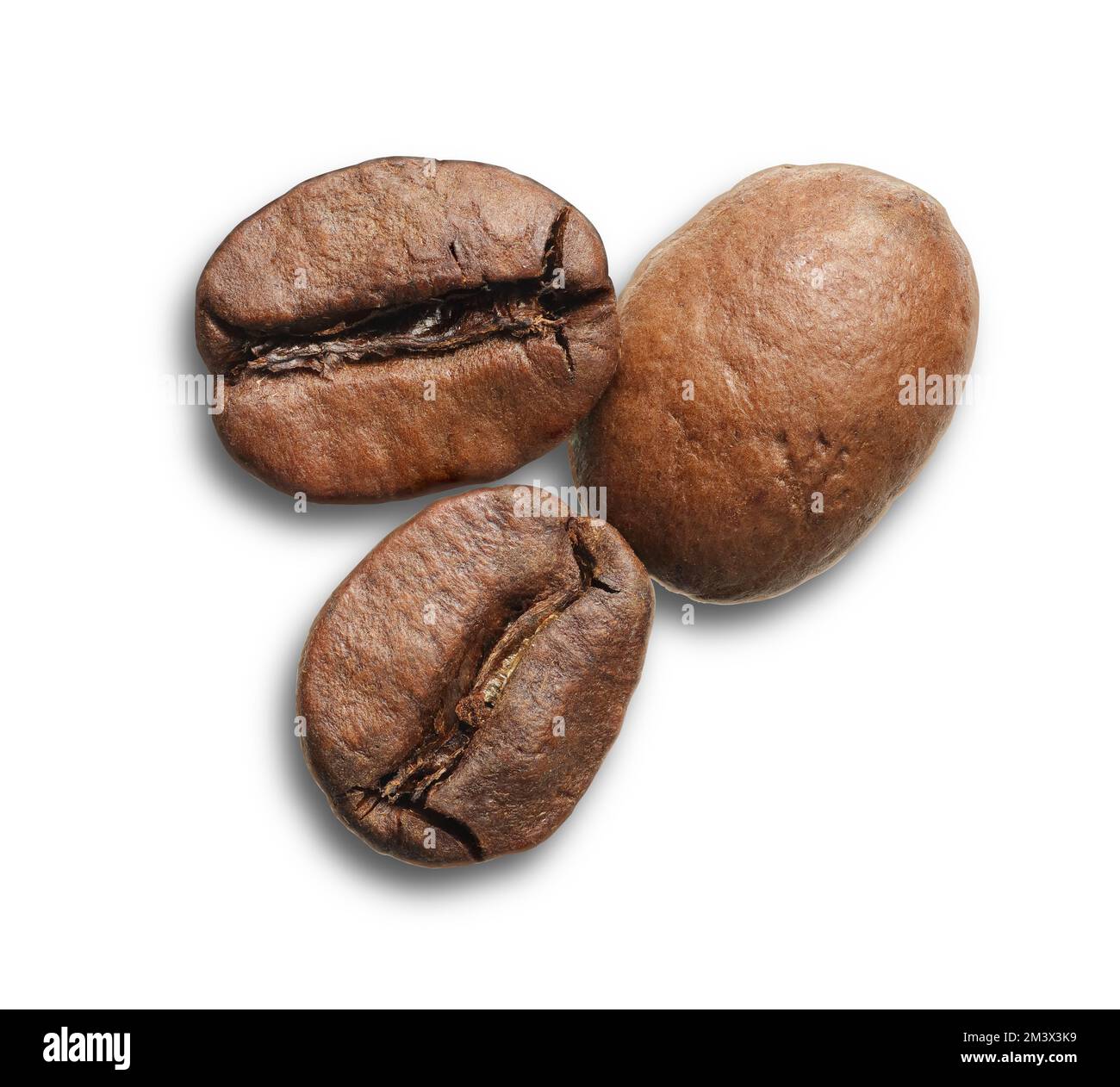 three roasted arabica coffee beans on white background Stock Photo - Alamy