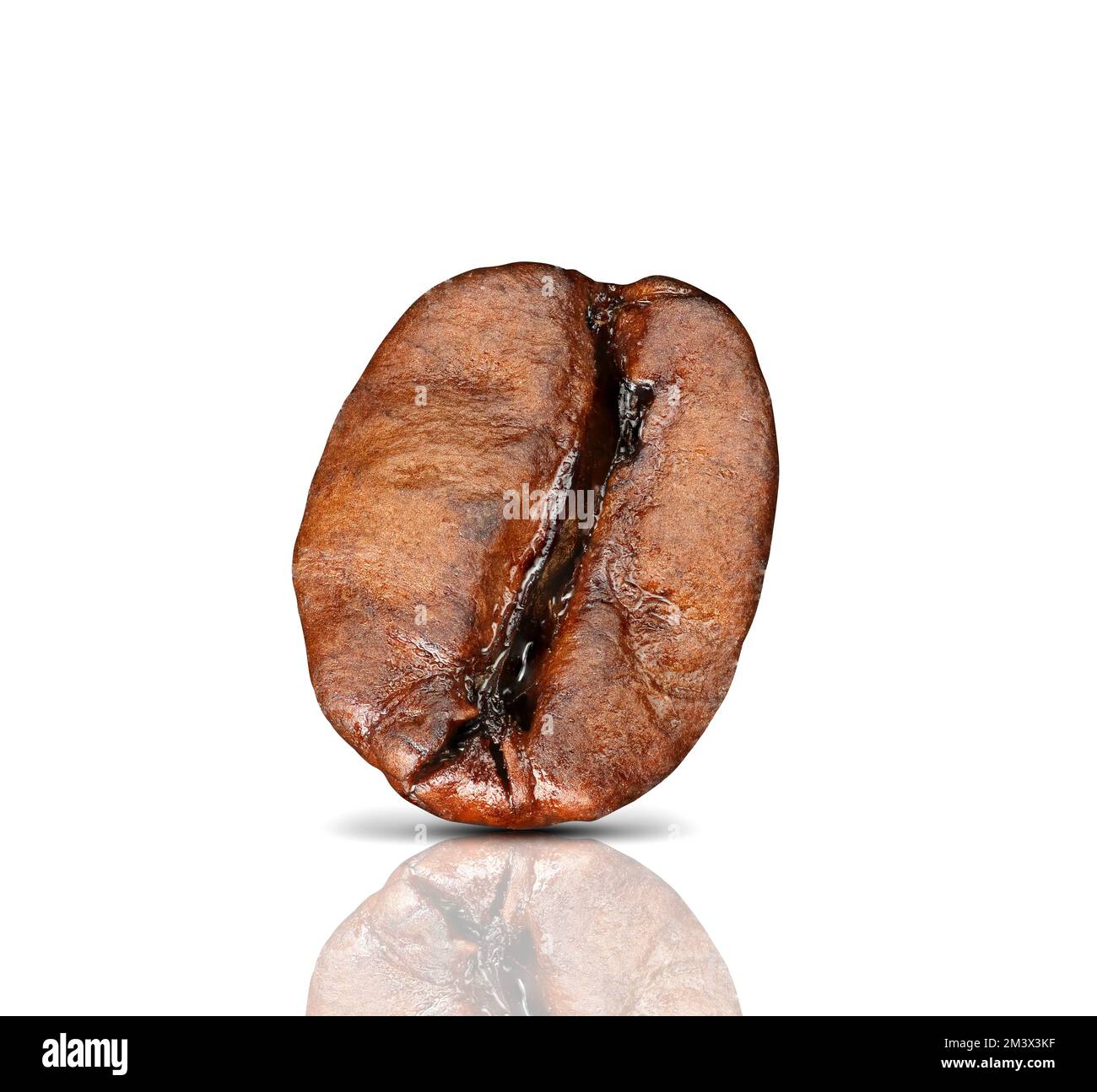 a single bean of roasted arabica coffee on a white background Stock ...