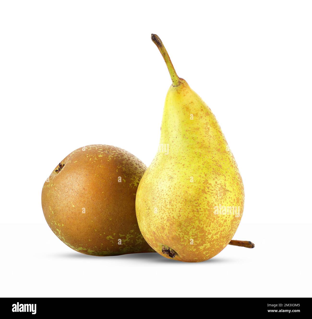 Two ripe pear hi-res stock photography and images - Alamy