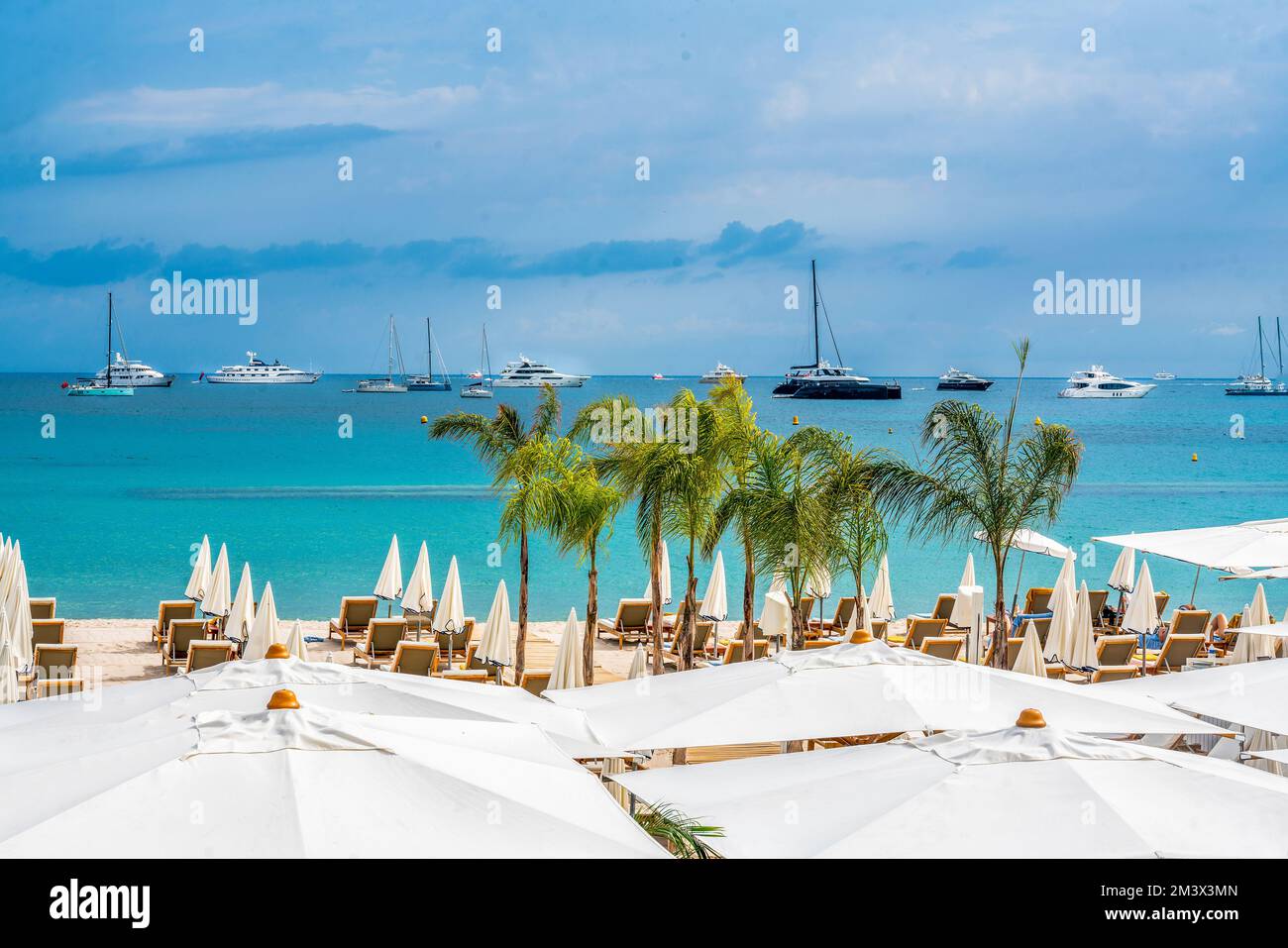 Fantastic view on bay of Cannes from Croisette. Palms on private beach ...