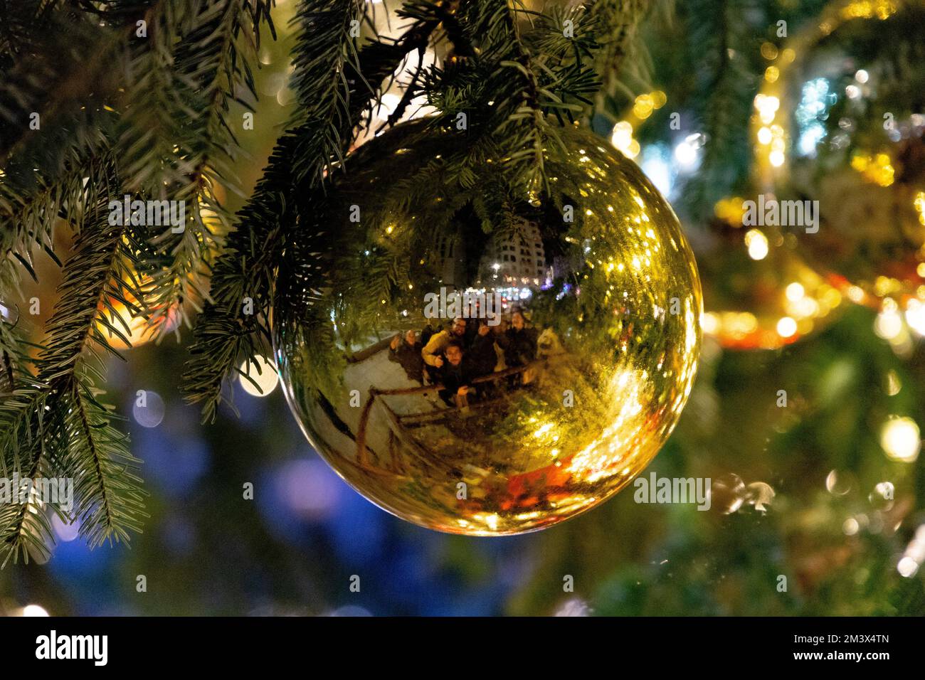 Fir tree. Christmas. Christmas tree with the lights on, placed in the ...