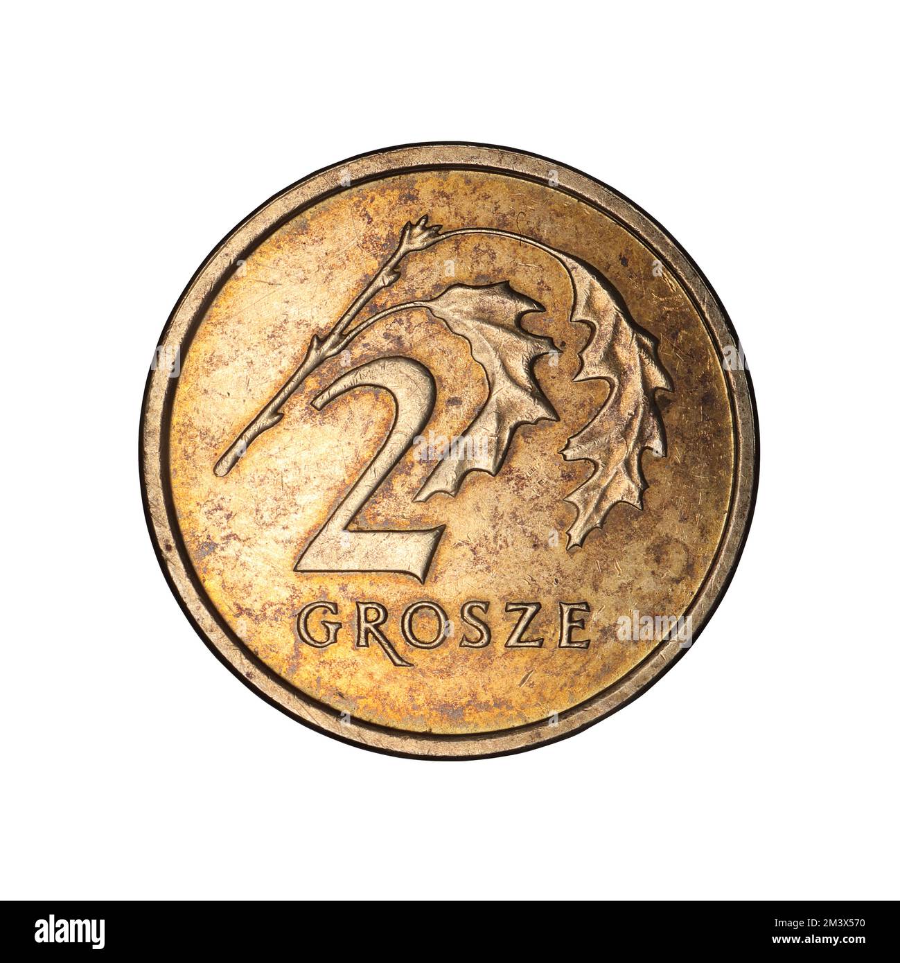 polish small dime isolated on white background Stock Photo - Alamy