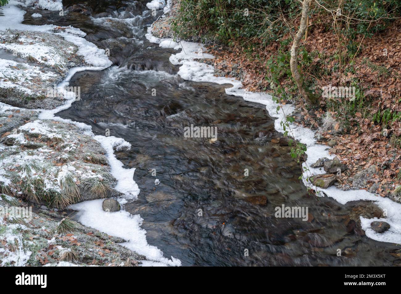 Ice on the edges of a tributary of the River Cothi at Brechfa ...