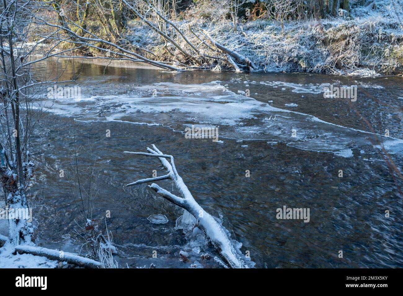 Ice formed in the River Cothi during December 2022. Carmarthenshire ...