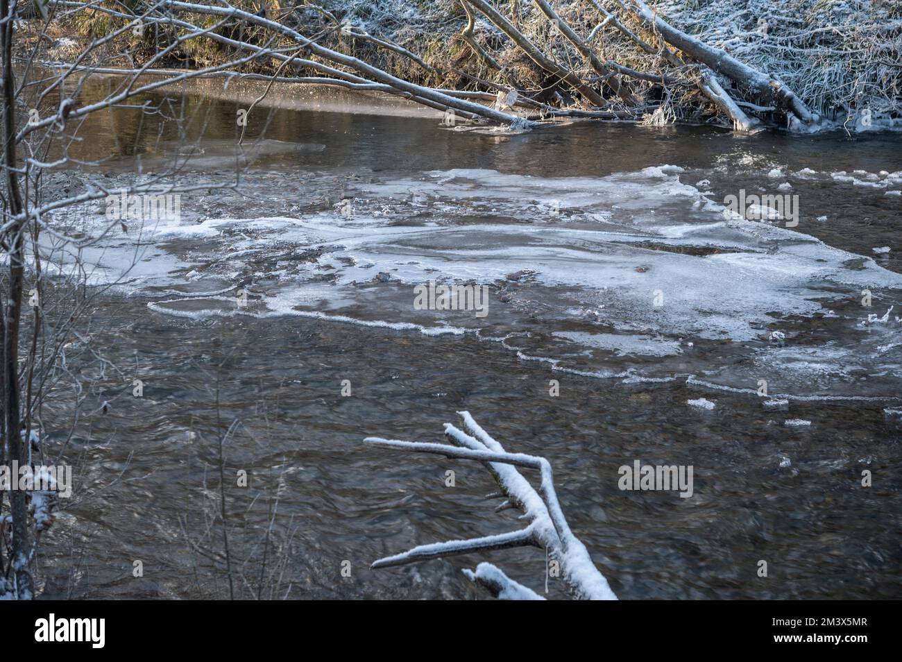 Ice formed in the River Cothi during December 2022. Carmarthenshire ...
