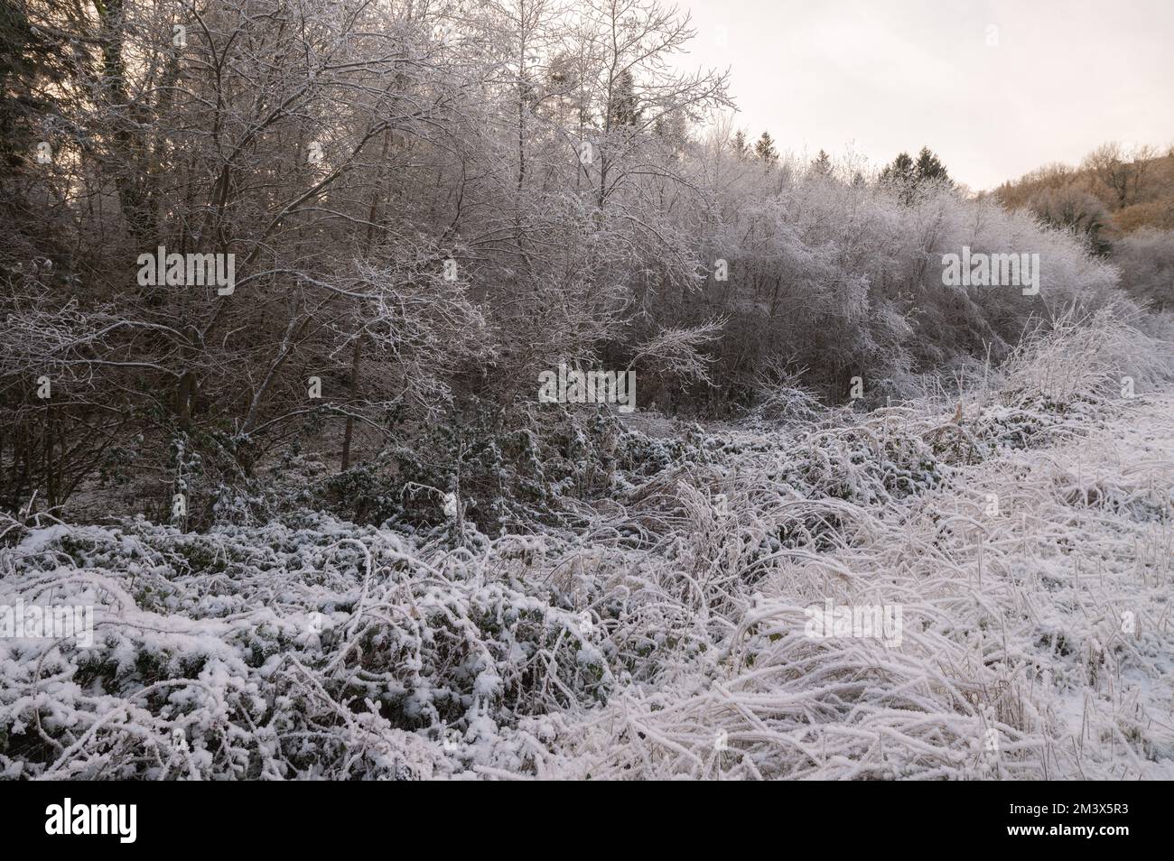 2022 wales hi-res stock photography and images - Alamy