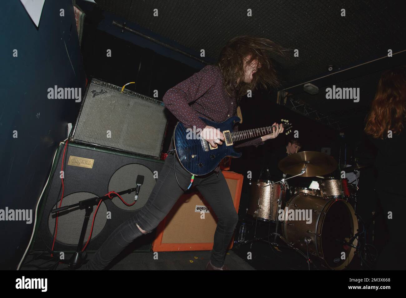 Marmozets bristol hi-res stock photography and images - Alamy