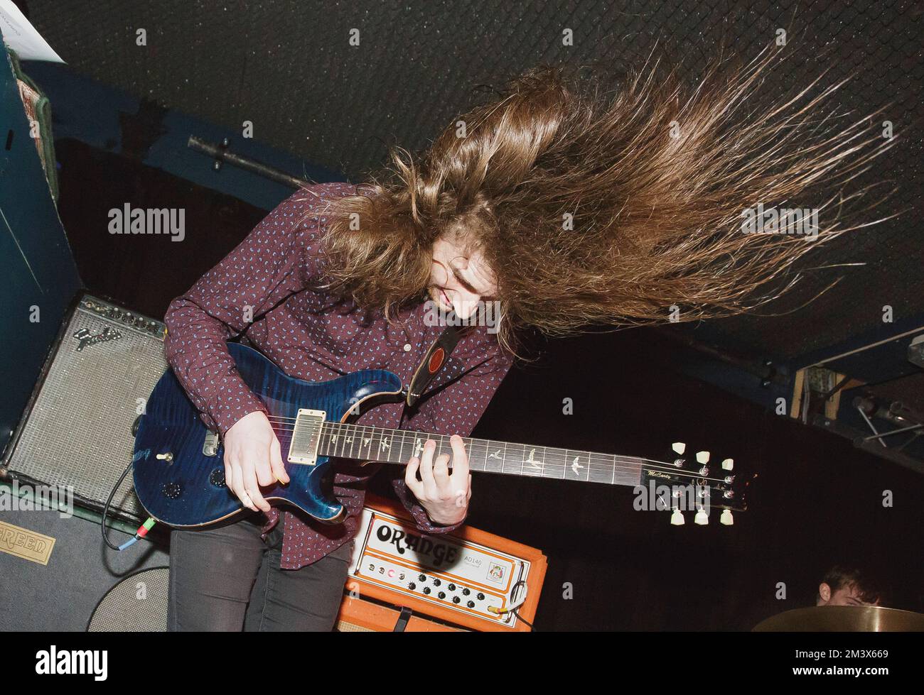 Becca macintyre marmozets hi-res stock photography and images - Alamy