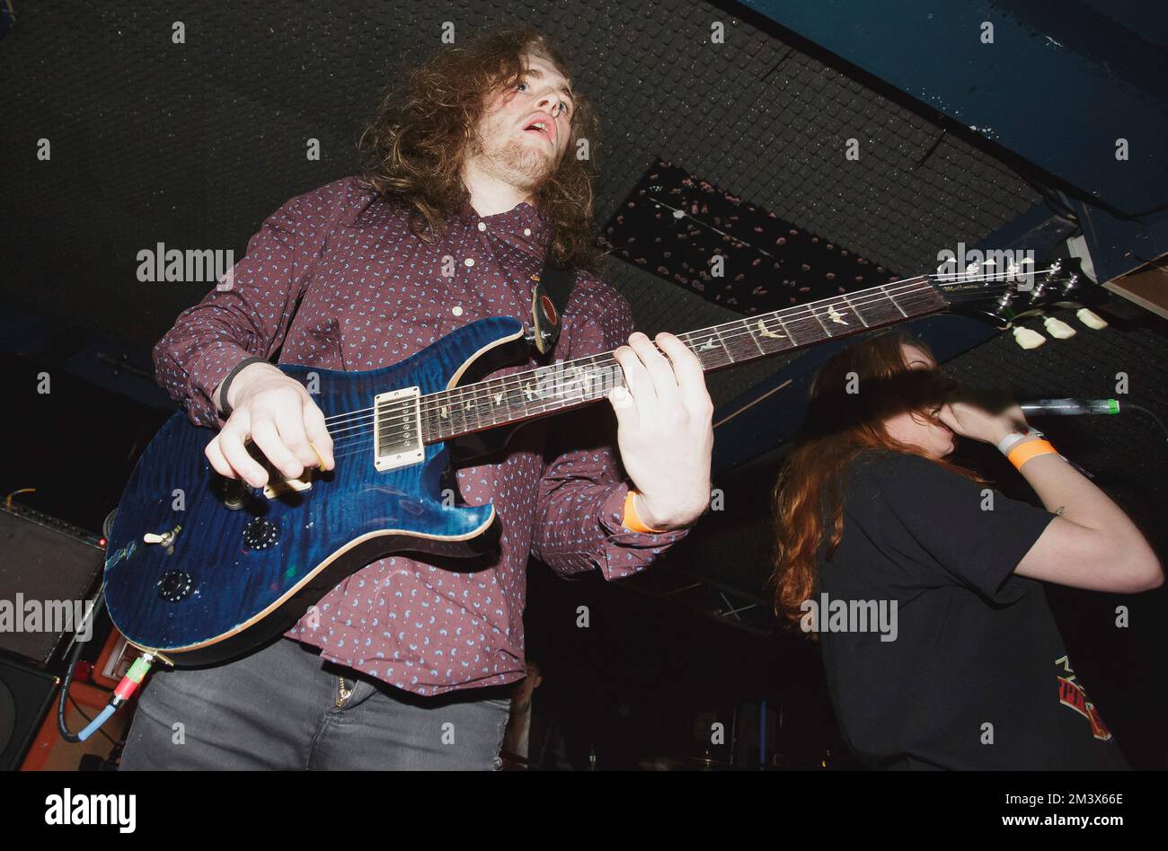 Band marmozets hi-res stock photography and images - Alamy