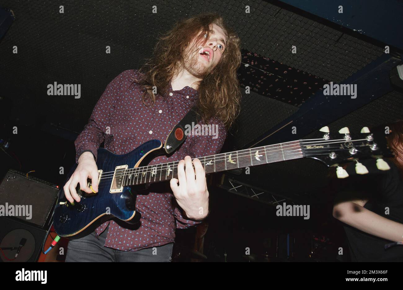 Band marmozets hi-res stock photography and images - Alamy
