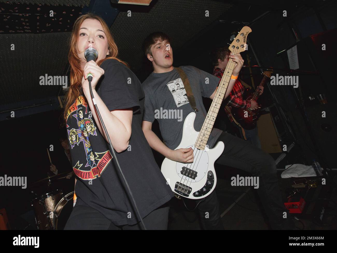 Marmozets live hi-res stock photography and images - Alamy
