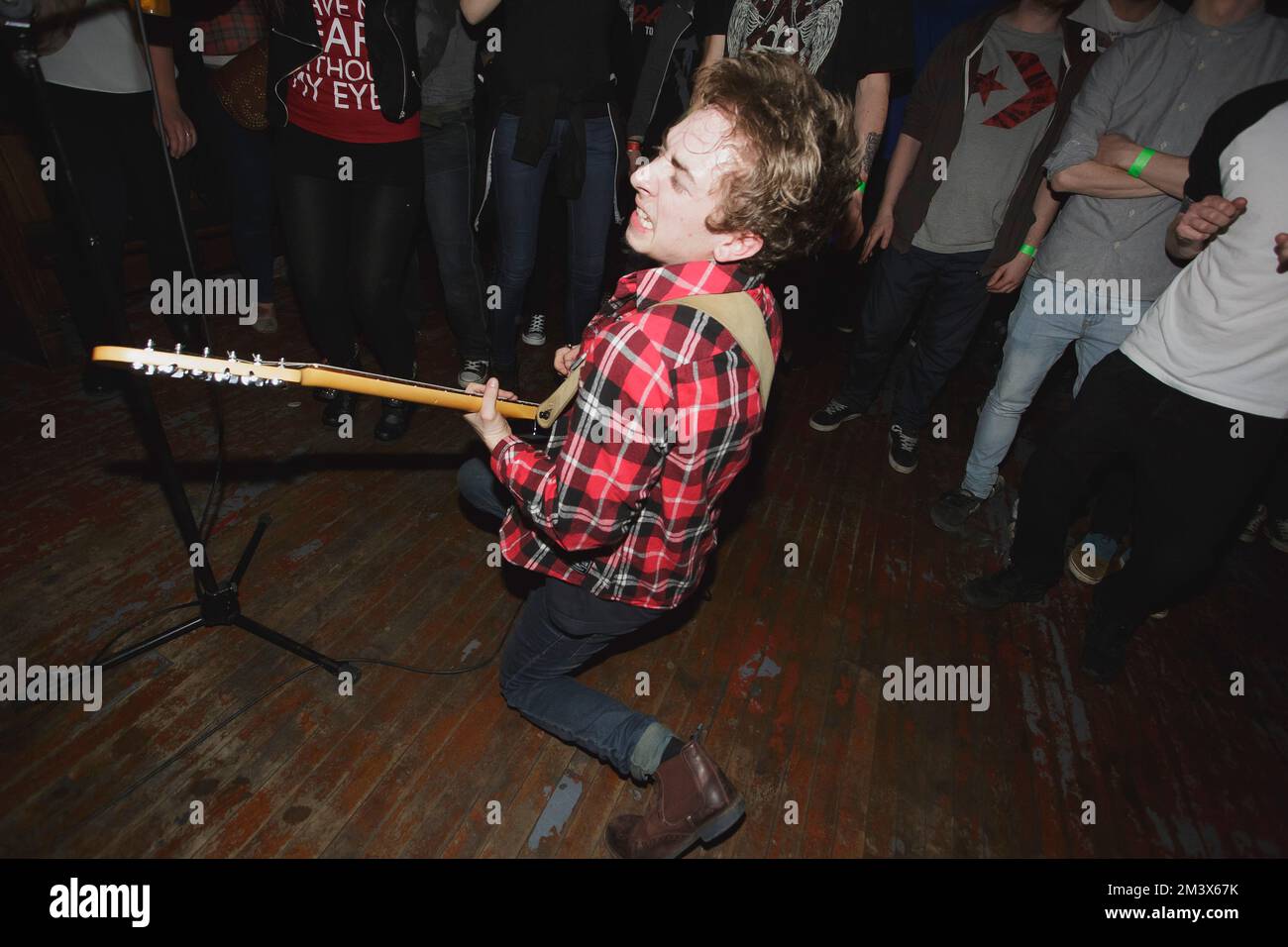 Band marmozets hi-res stock photography and images - Alamy
