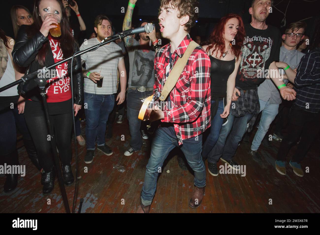 Becca macintyre marmozets hi-res stock photography and images - Alamy