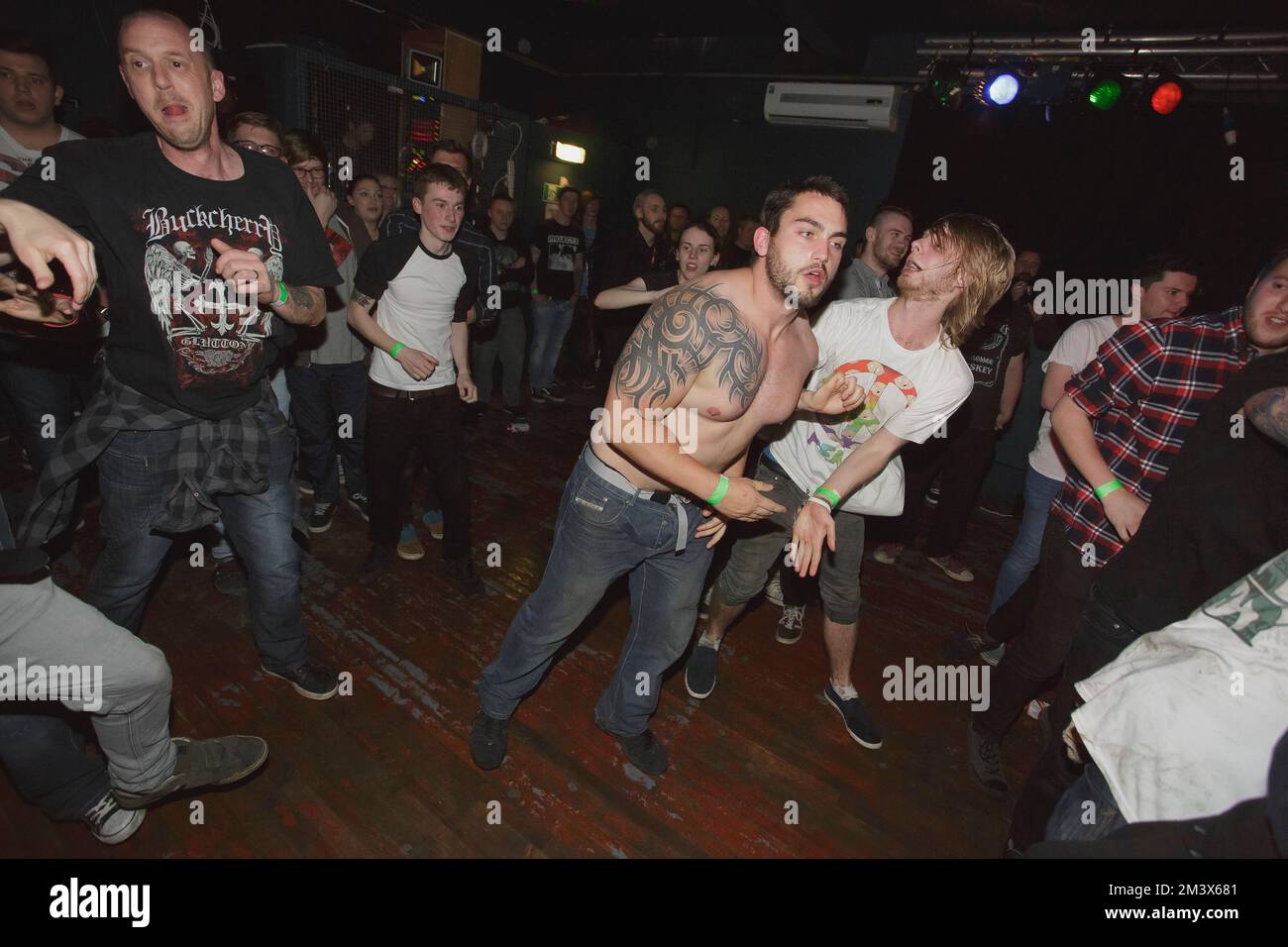 Becca macintyre marmozets hi-res stock photography and images - Alamy