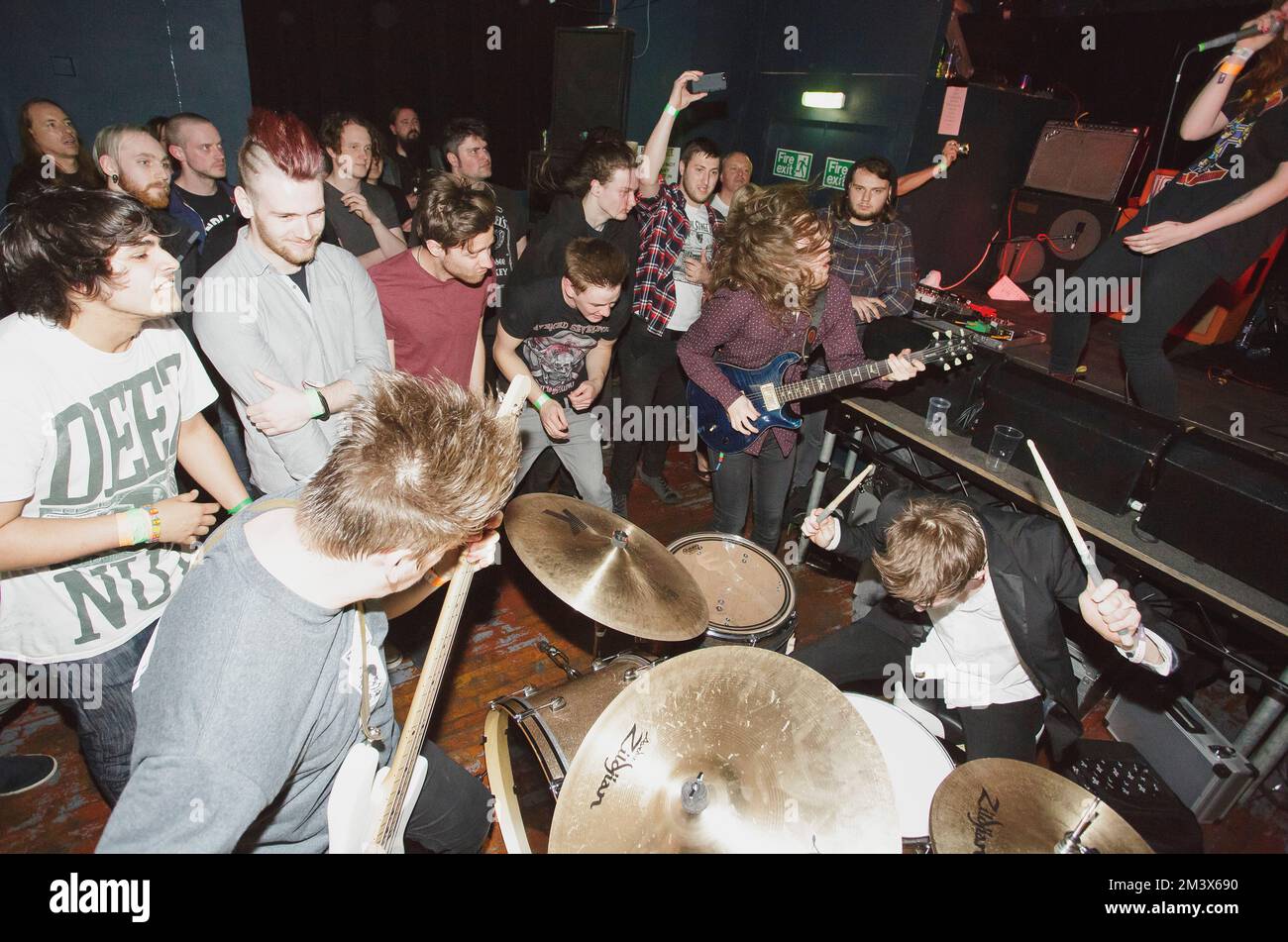 Band marmozets hi-res stock photography and images - Alamy