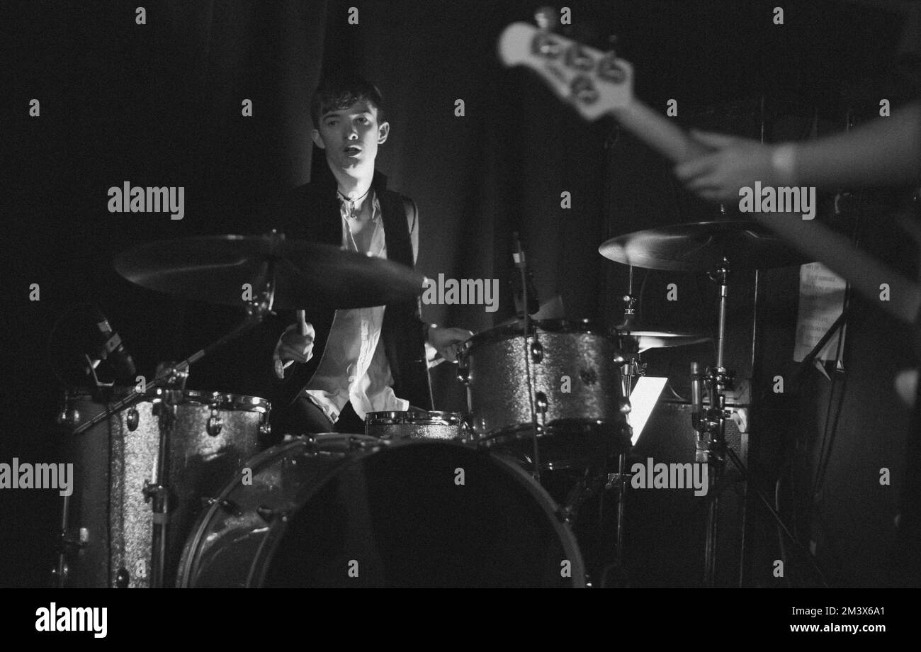 Marmozets bristol hi-res stock photography and images - Alamy