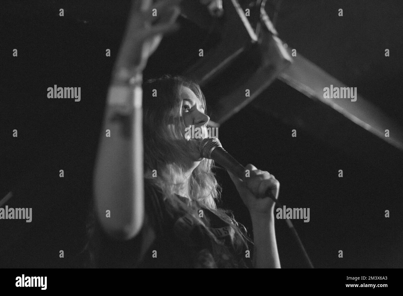 Marmozets live show Black and White Stock Photos & Images - Alamy