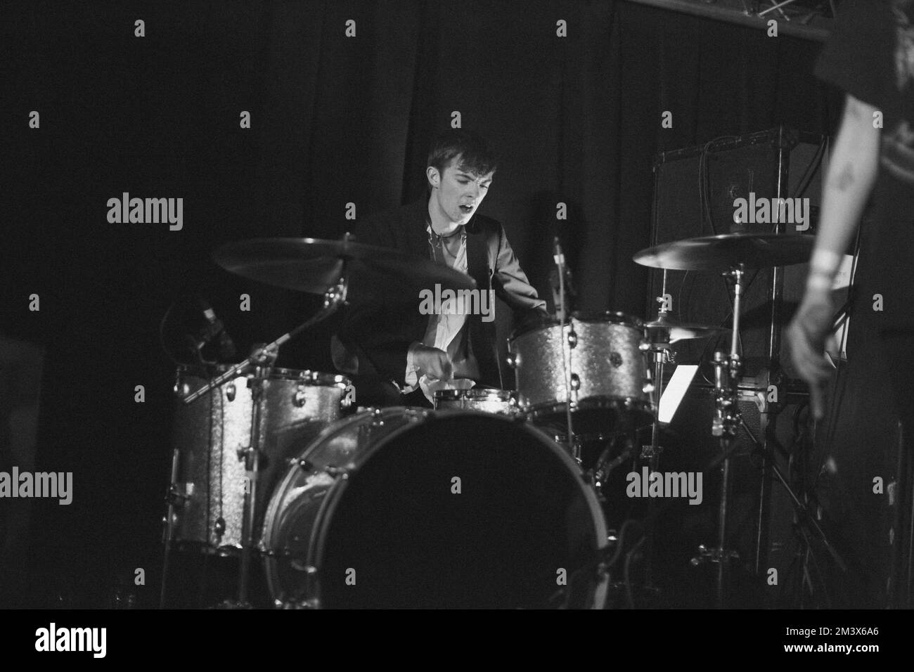 Marmozets live show Black and White Stock Photos & Images - Alamy