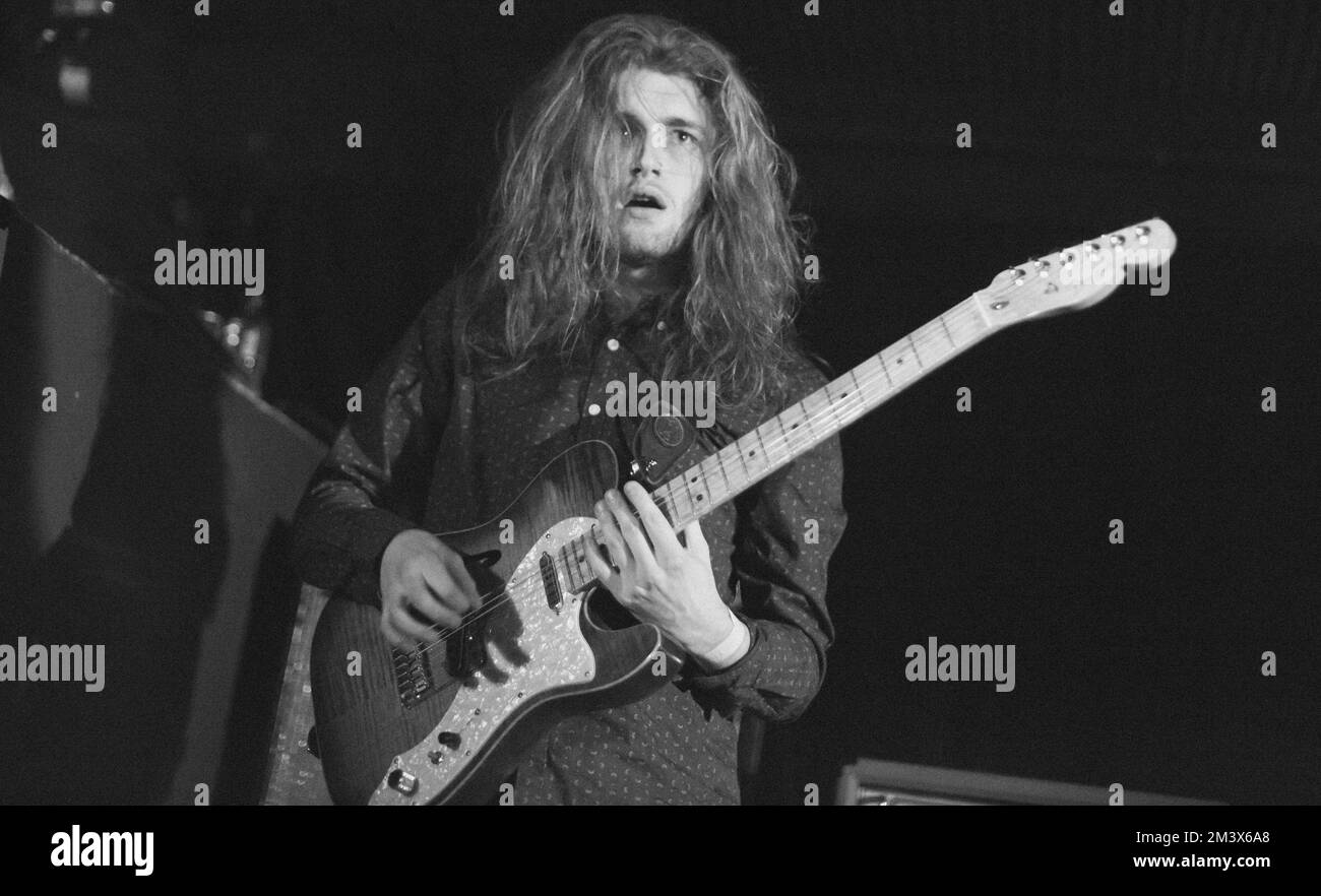 Marmozets live Black and White Stock Photos & Images - Alamy