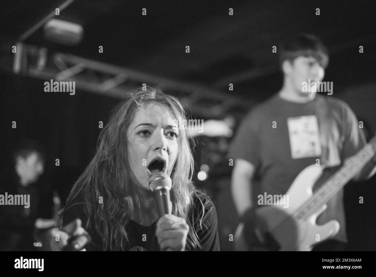 Marmozets bristol hi-res stock photography and images - Alamy