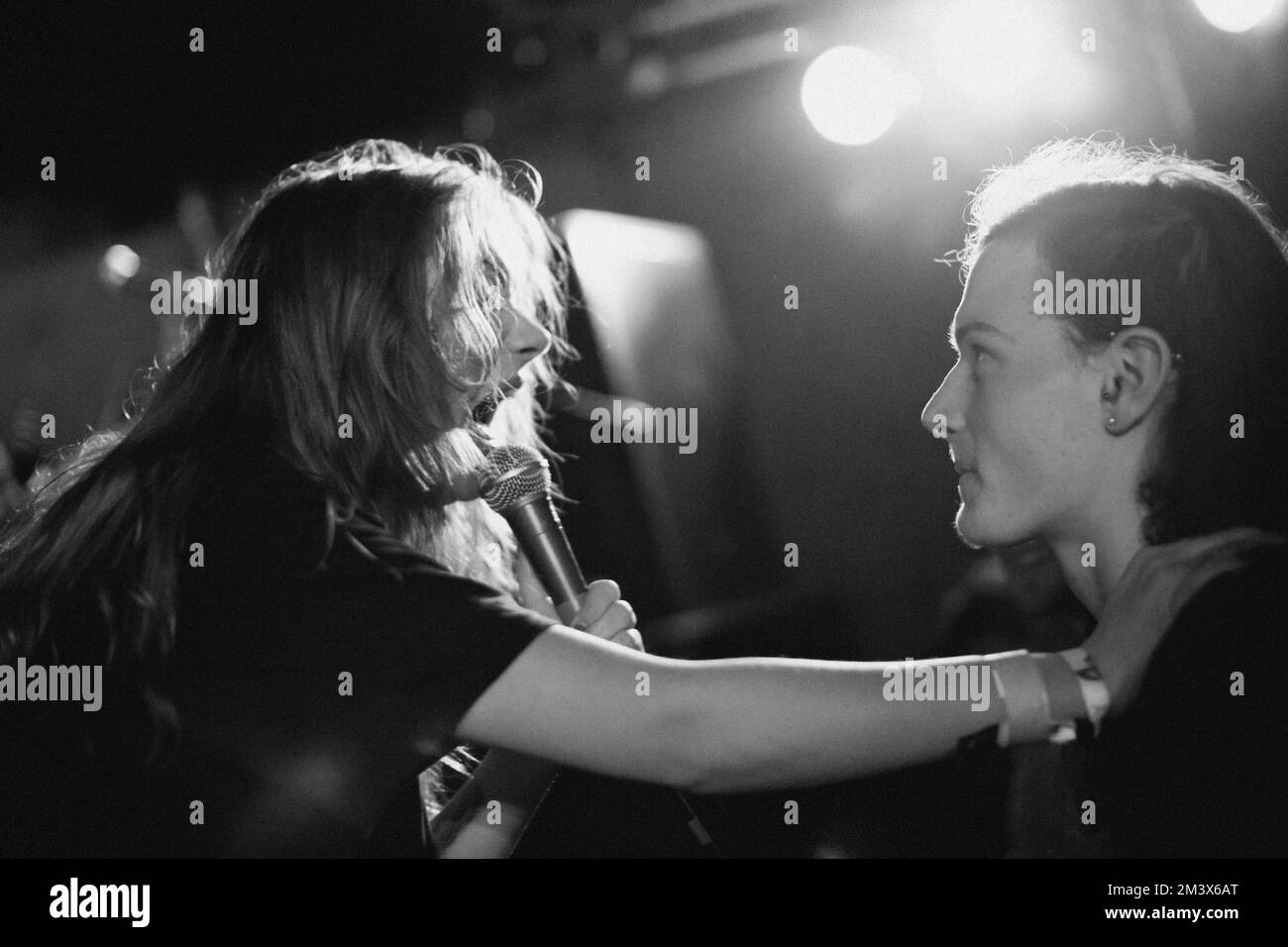 Marmozets gig hi-res stock photography and images - Alamy