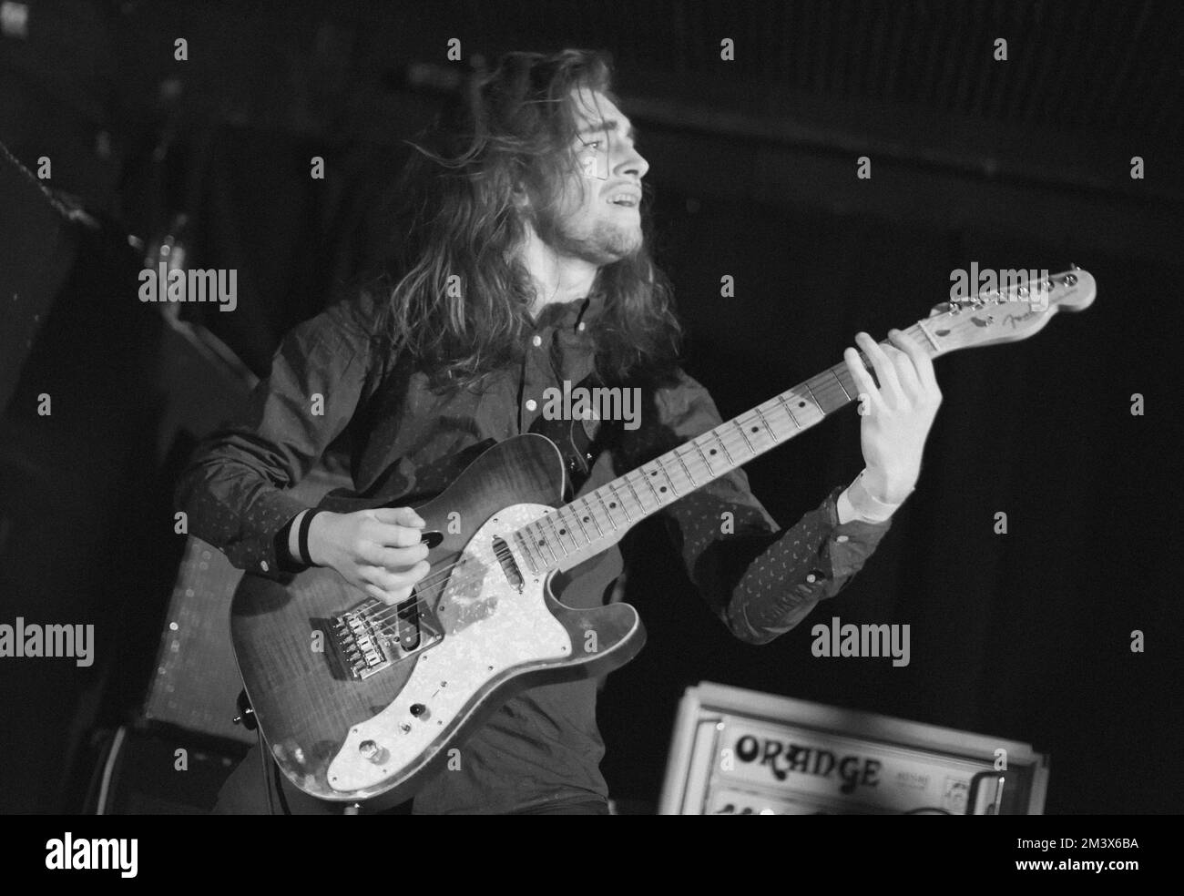 Marmozets bristol hi-res stock photography and images - Alamy