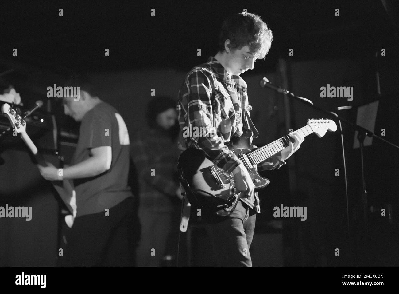 Marmozets bristol hi-res stock photography and images - Alamy