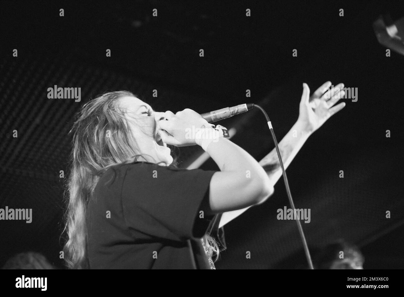 Marmozets bristol hi-res stock photography and images - Alamy