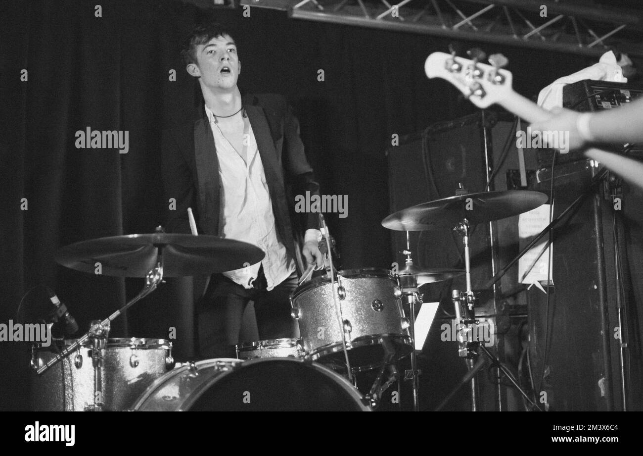 Marmozets bristol hi-res stock photography and images - Alamy
